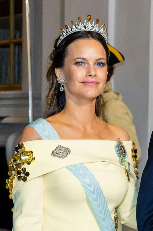 Princess Sofia Attends Golden Jubilee Banquet — Royal Portraits Gallery