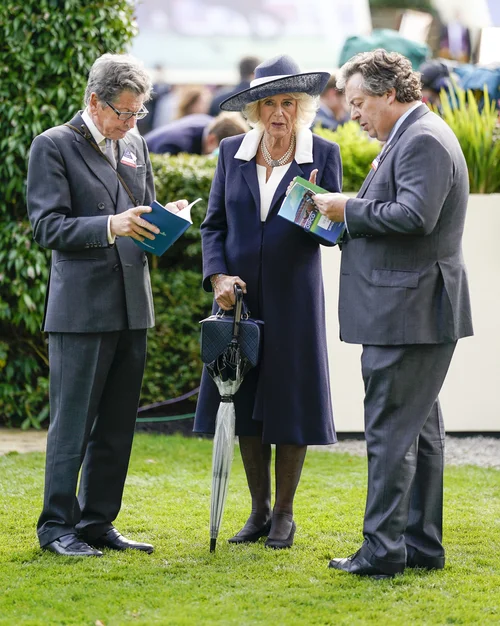 Queen Camilla Attends QIPCO British Champions Day — Royal Portraits Gallery