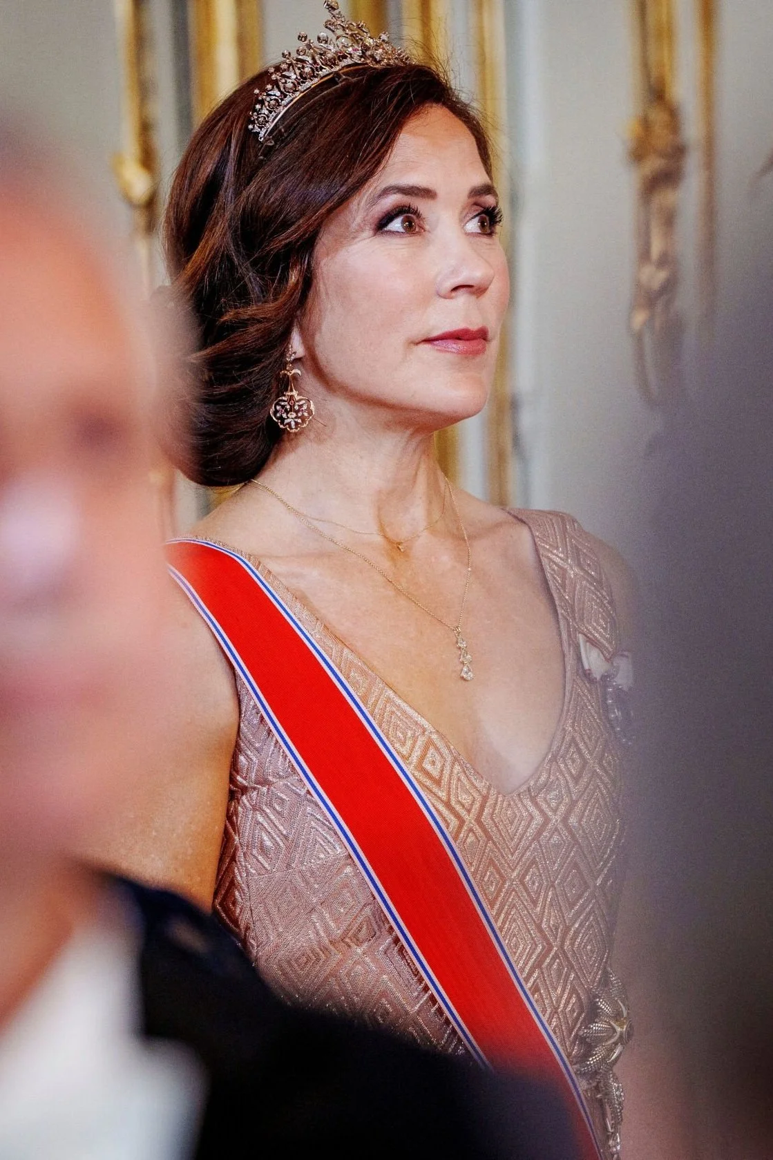 The Crown Prince and Crown Princess of Denmark Attend State Banquet in ...