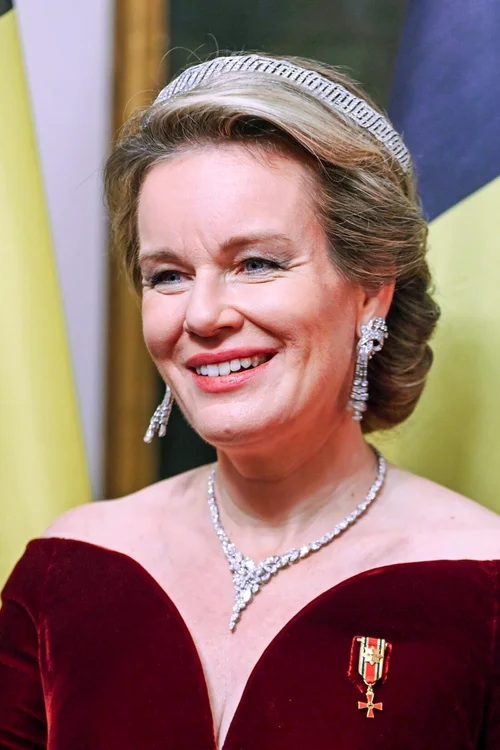 The King and Queen of the Belgians Attend State Banquet in Berlin ...