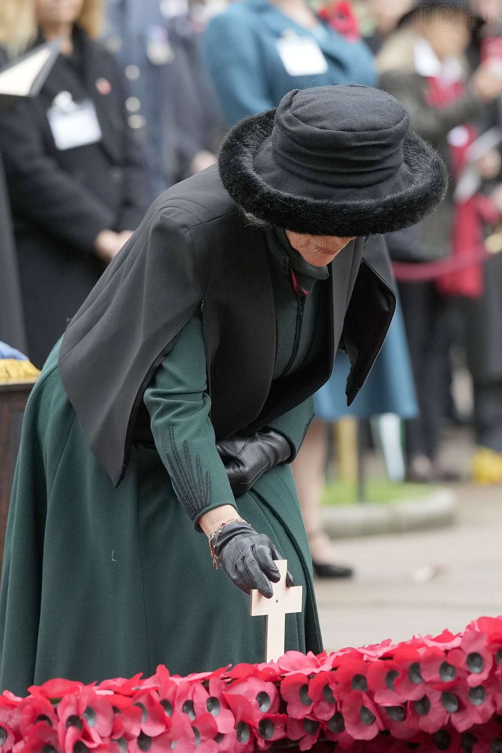 Queen Camilla Attends The 95th Year of The Field of Remembrance — Royal Portraits Gallery