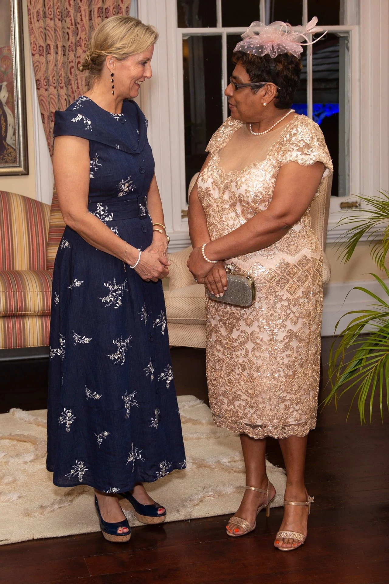 The Earl and Countess of Wessex Attend Investiture in Castries, Saint ...