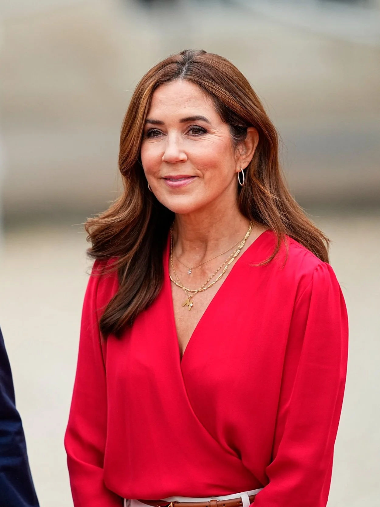 The King and Queen of Denmark Attend Attend Reception at Élysée — Royal ...