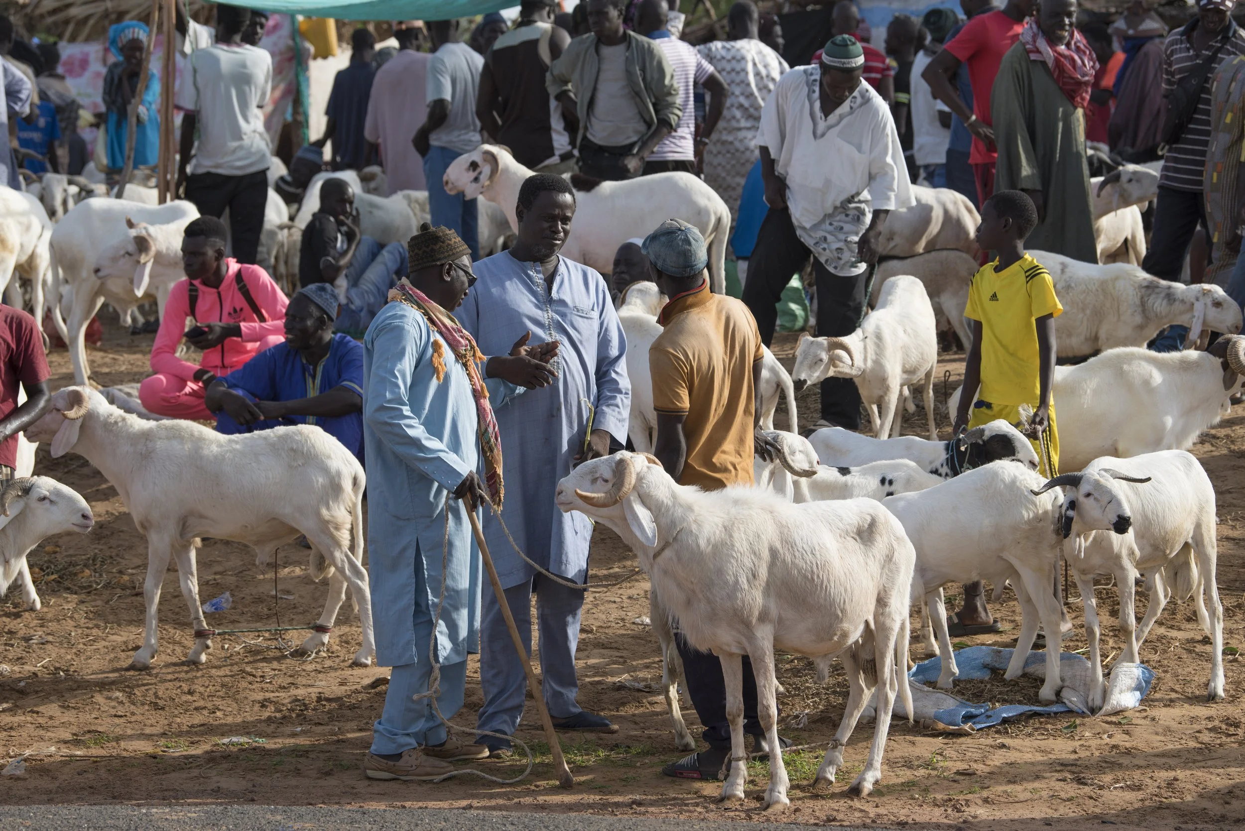 Missions — Potomac Ministry Network