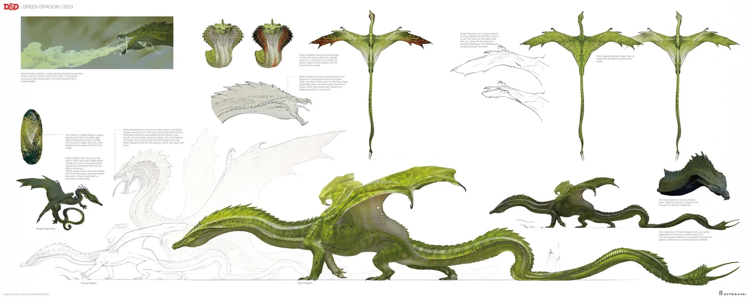 Green Dragon, Dungeons and Dragons — Concept Art Association