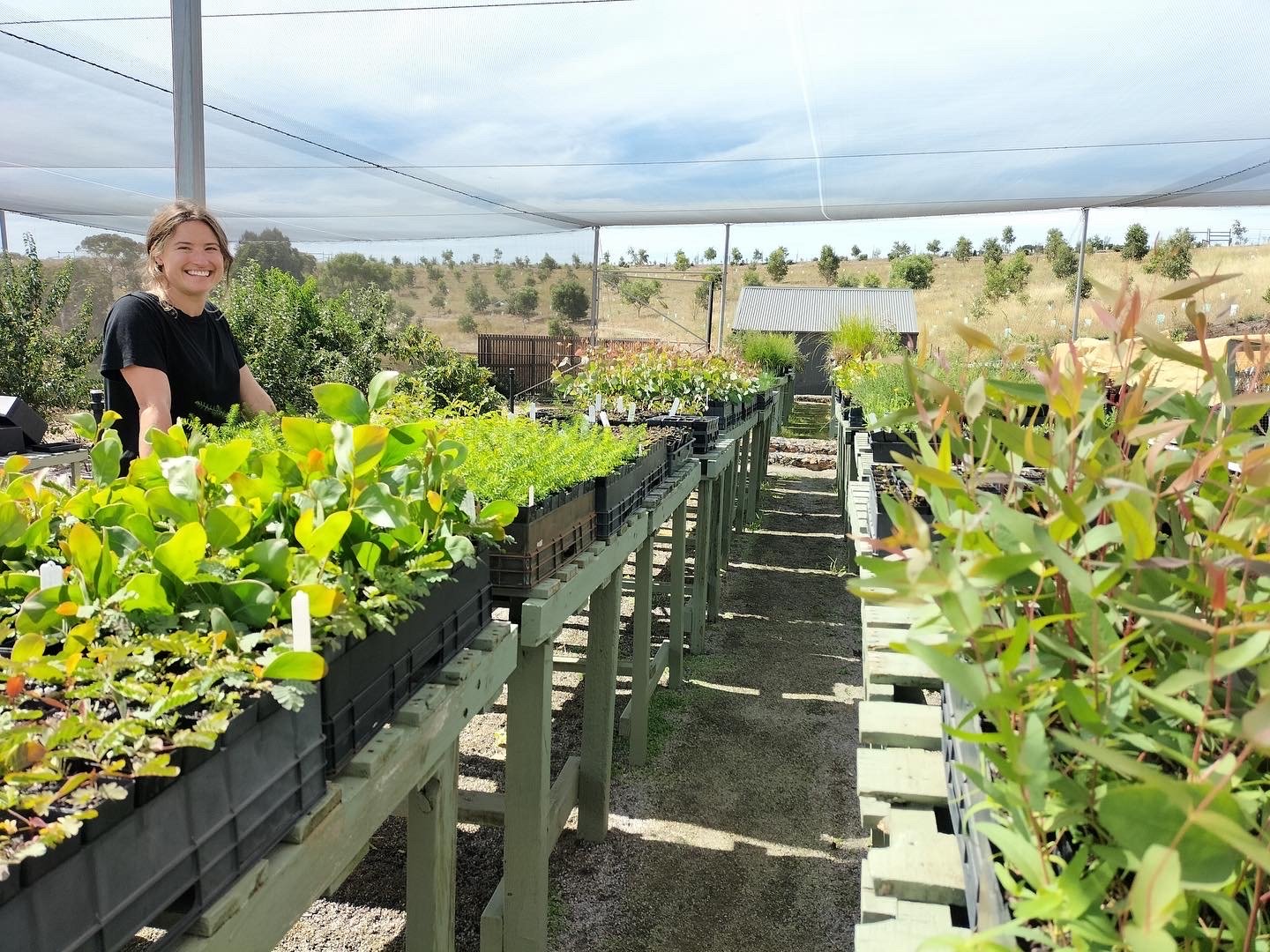 the home straight for planting season 2024 — The Forktree Project
