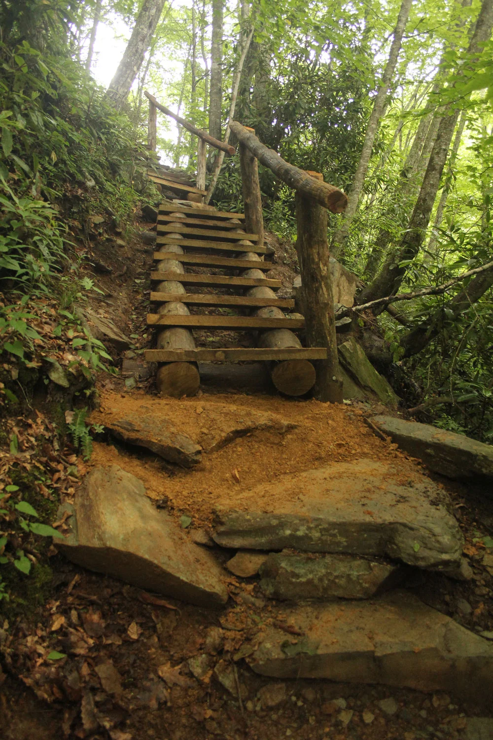 Boone/Blowing Rock Hiking Trail — Elevated Trail Design LLC