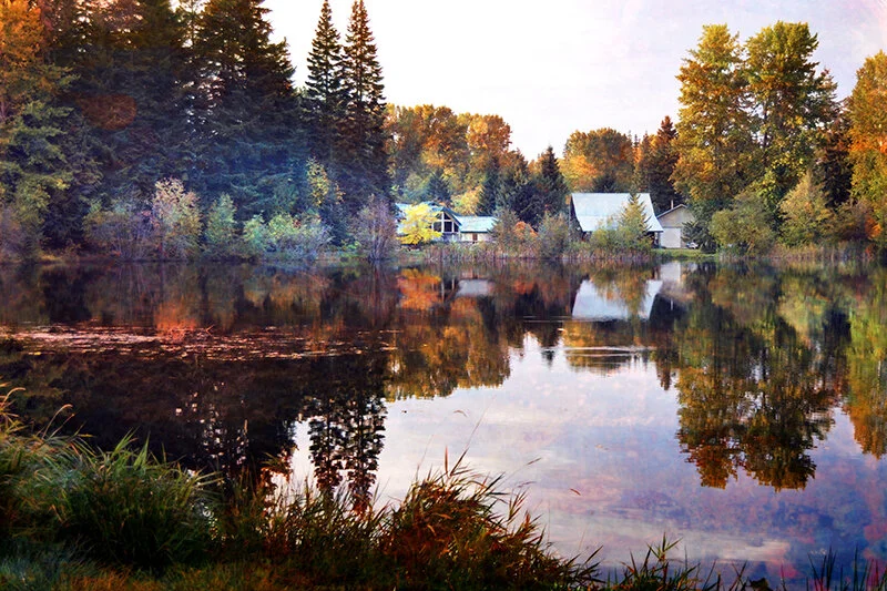Autumn's Palette — The Art of LuAnn Ostergaard