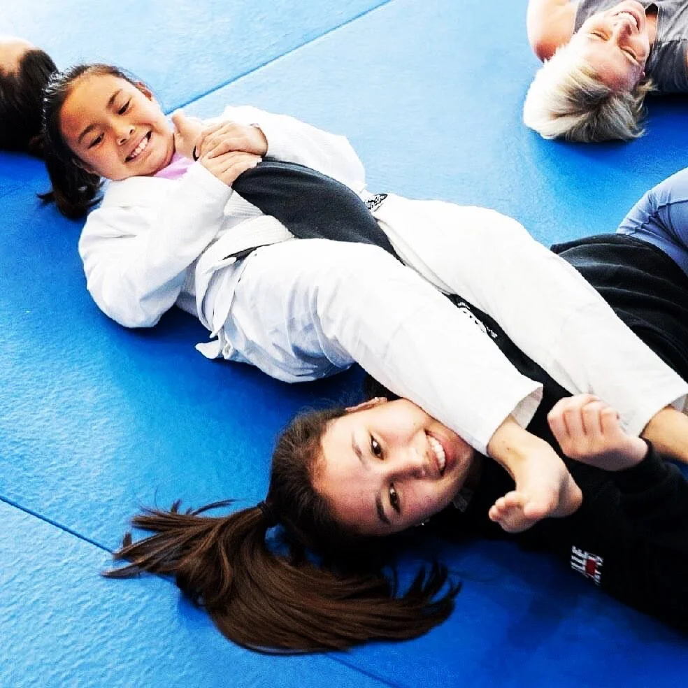 Danville Jiu Jitsu, Wrestling, Kickboxing