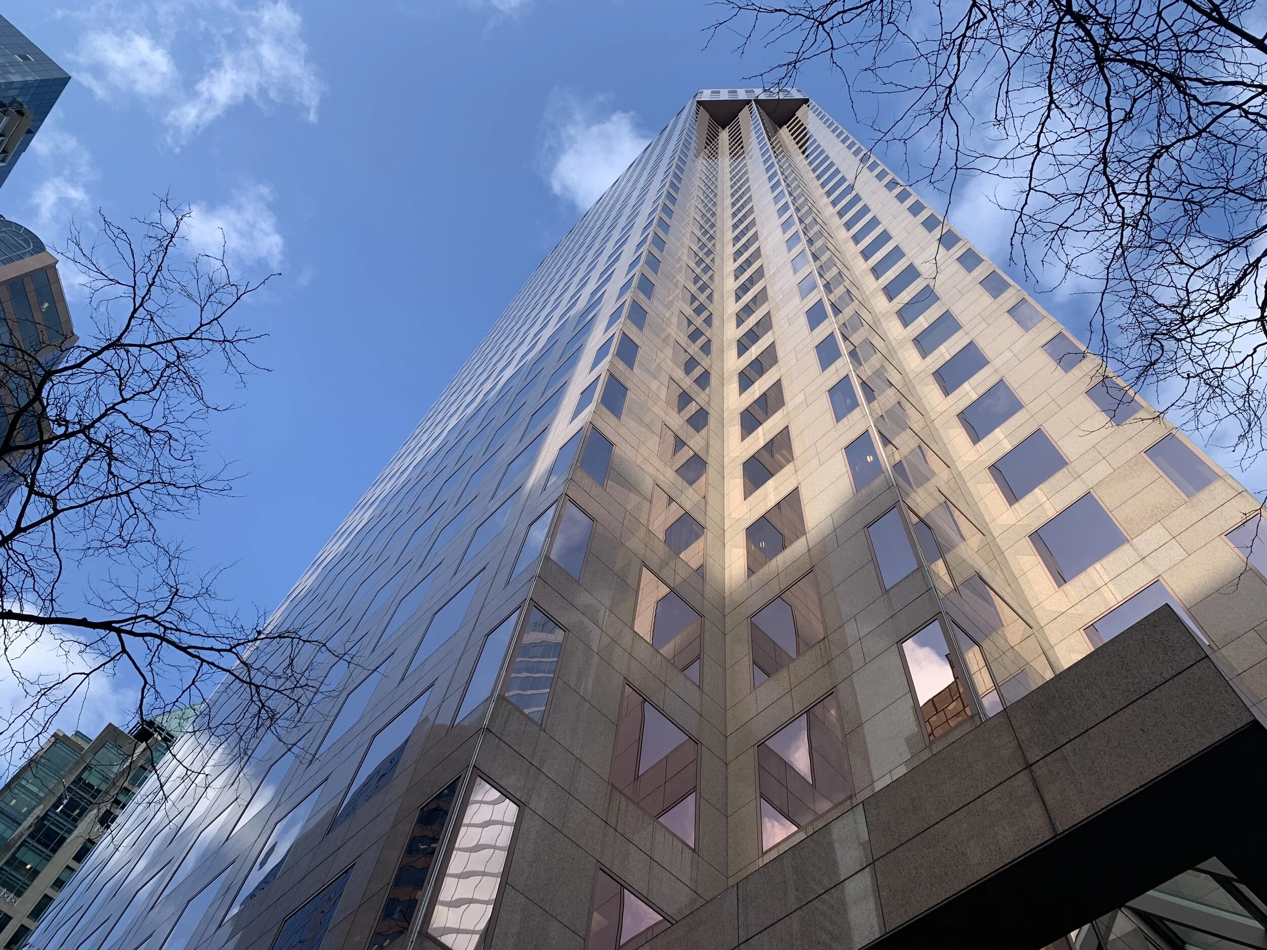 Spectrum Ability — Accessibility consultants in Vancouver