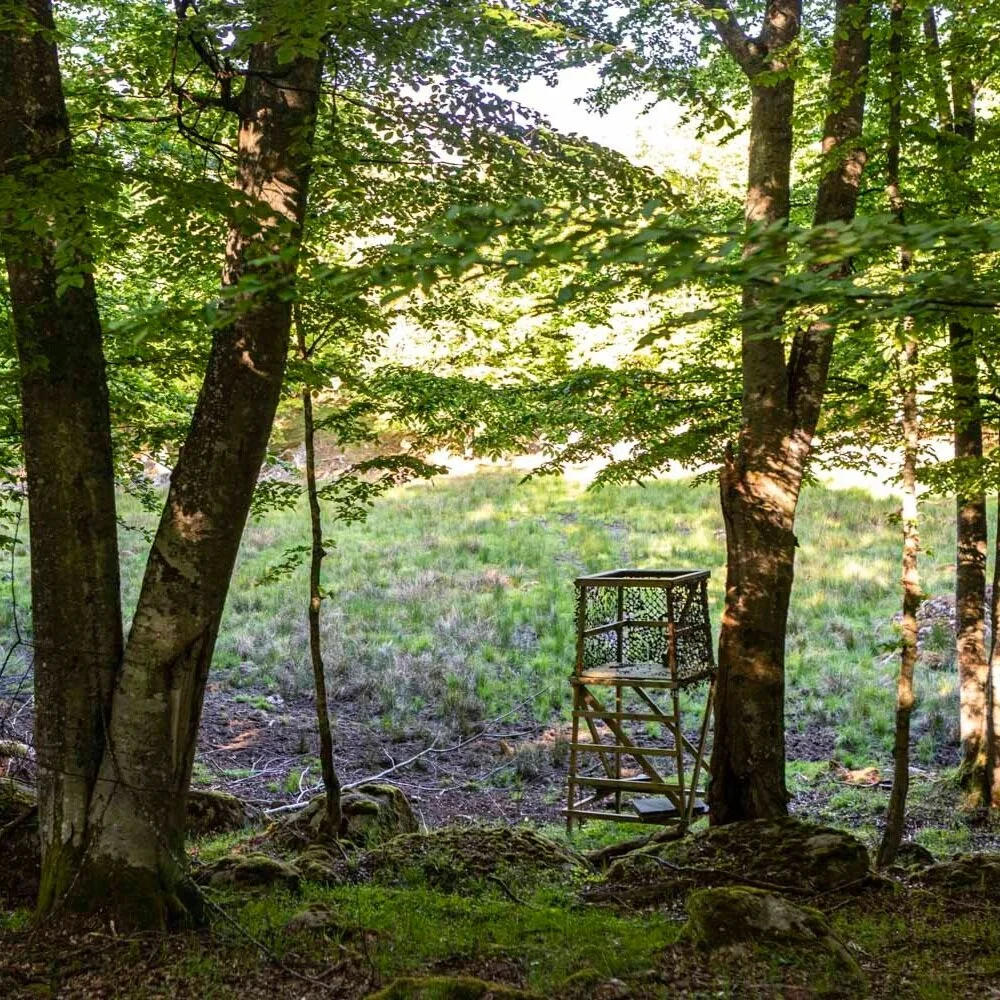 Upplev | Eriksberg Hotell & Safaripark