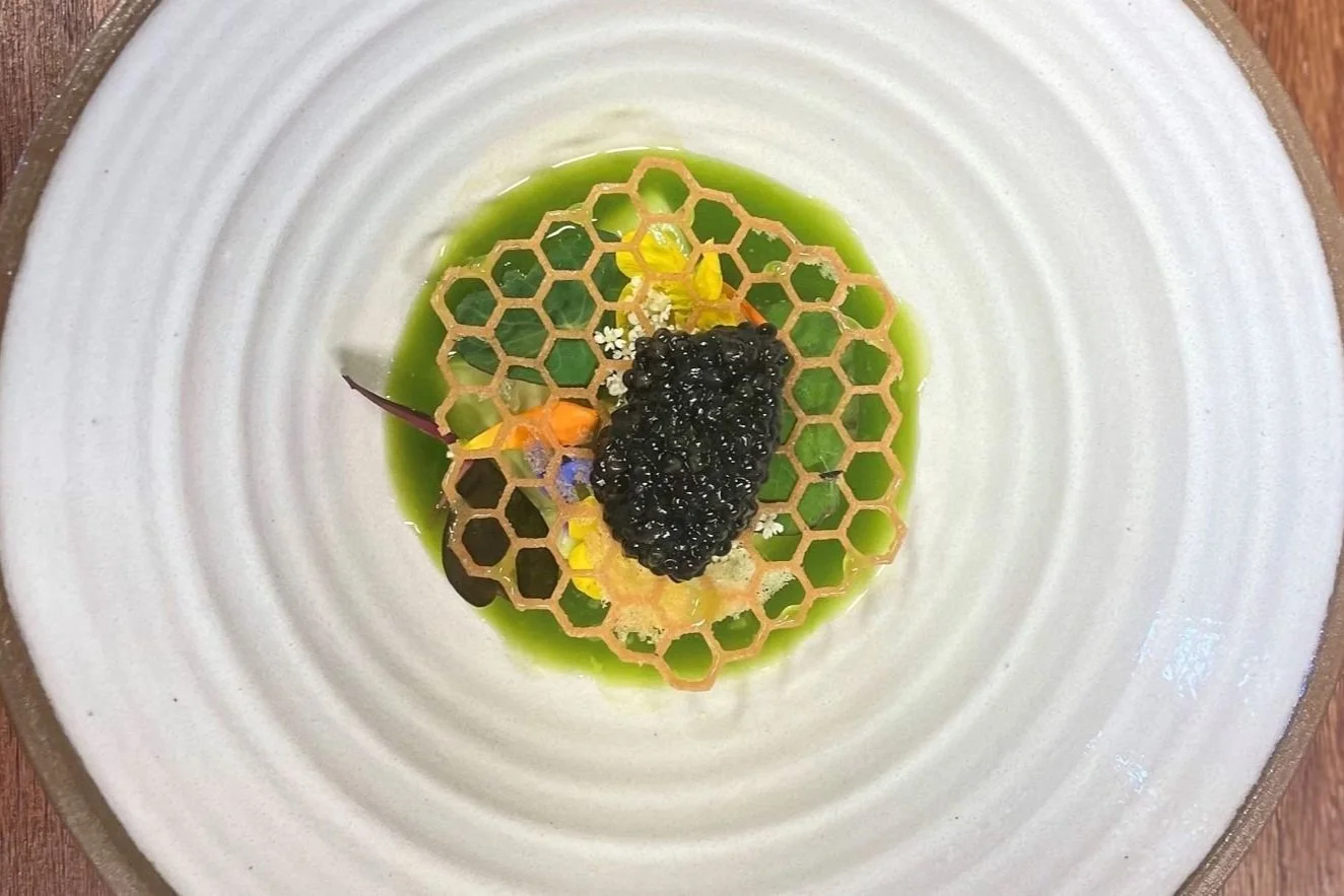 Eriksberg Hotell & Safaripark