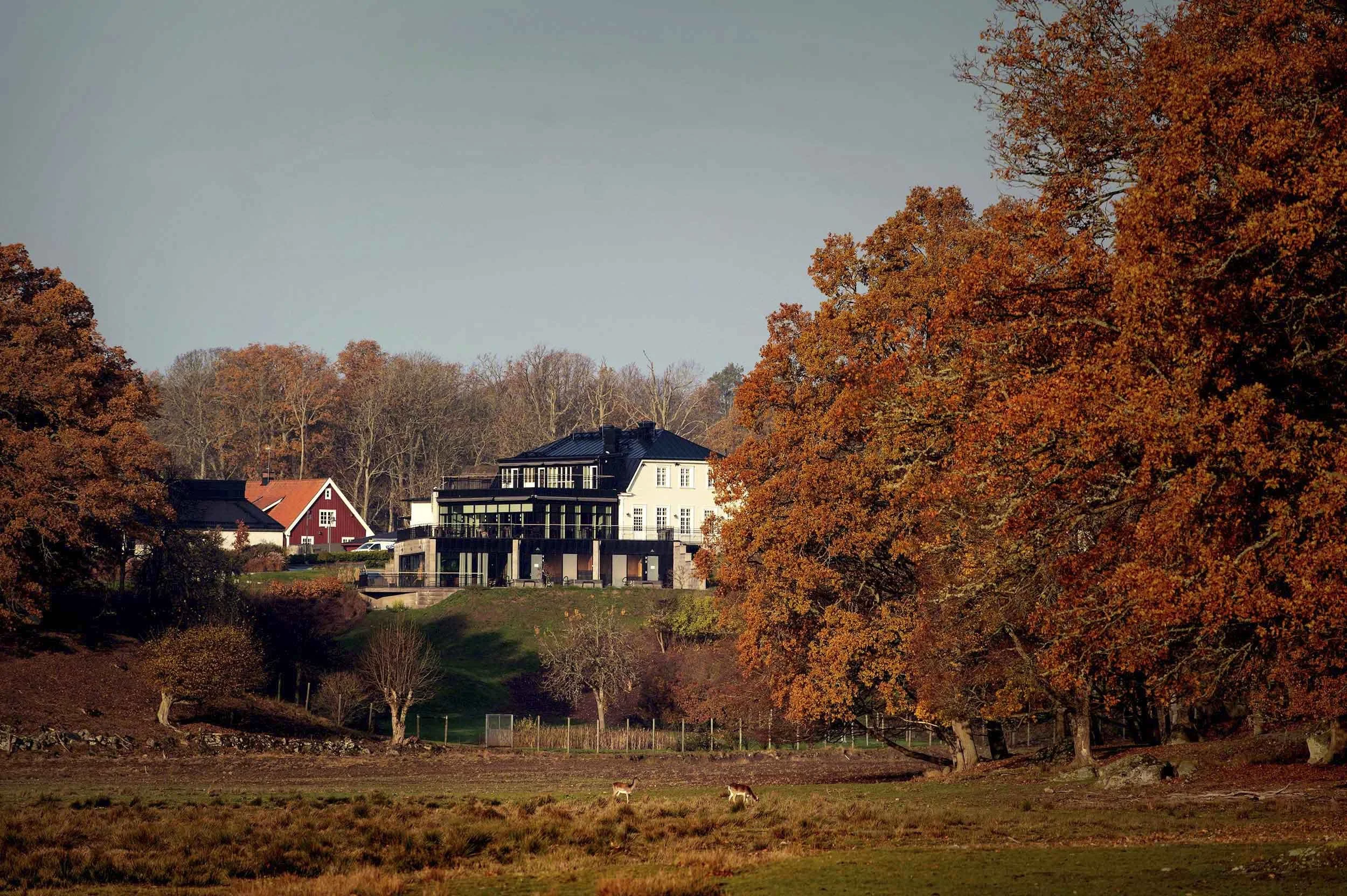 Eriksberg Hotell & Safaripark