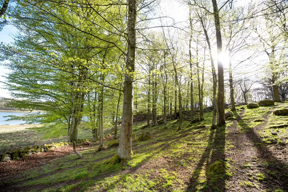 Eriksberg Hotell & Safaripark