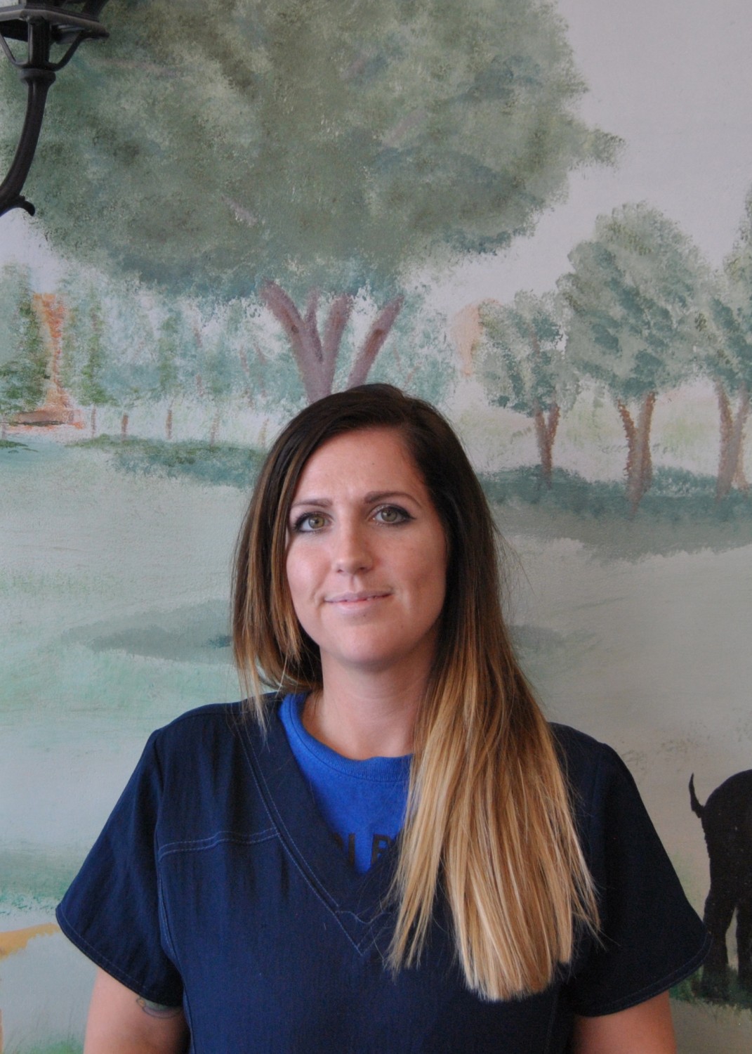 About — All Creatures Pet Hospital