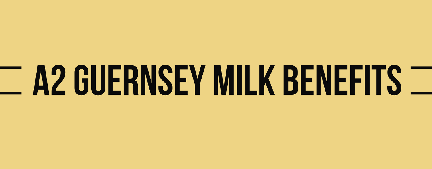 a2 Guernsey Milk Benefits — Upper Canada Cheese Company