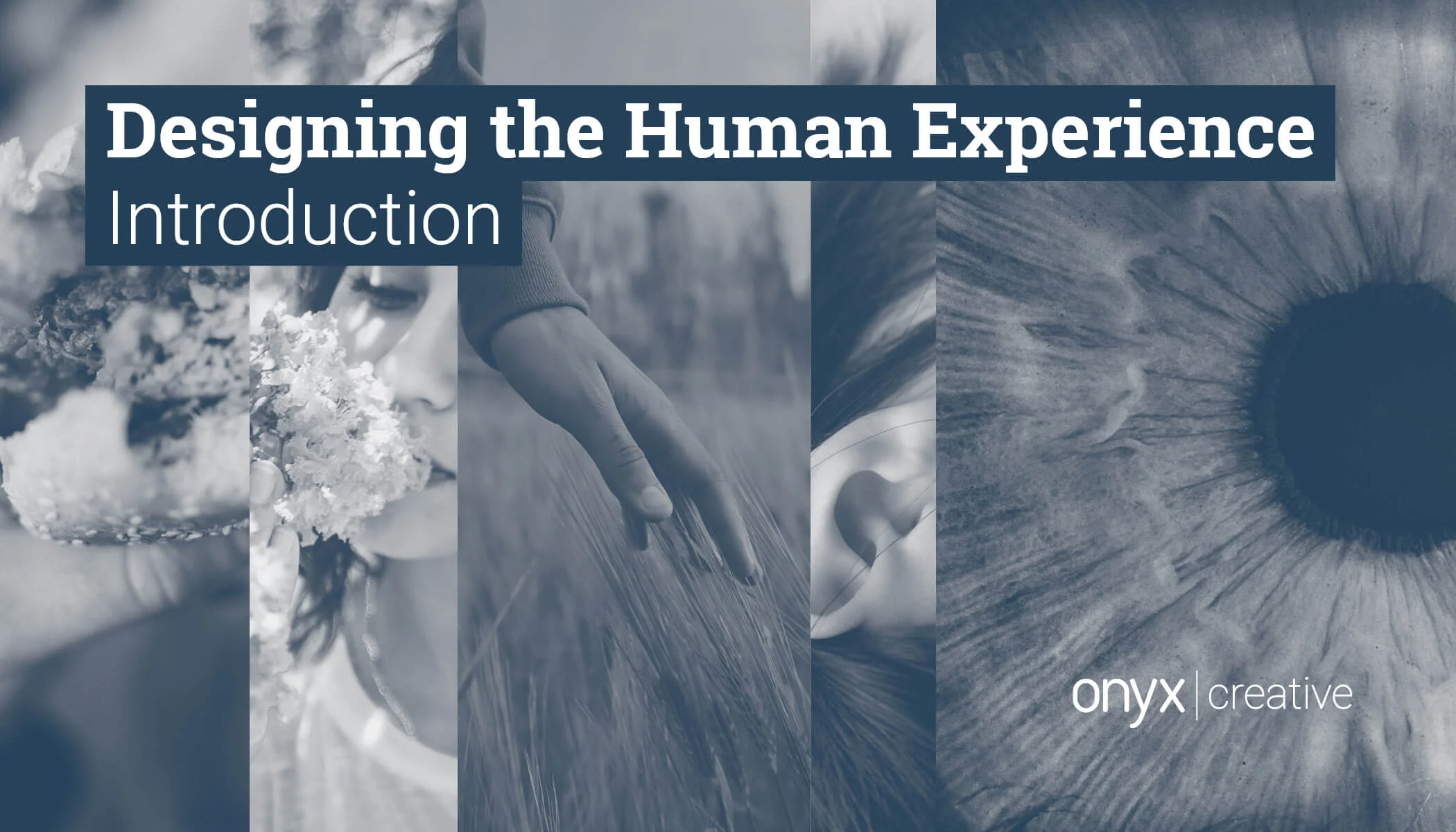 Designing the Human Experience — Onyx Creative