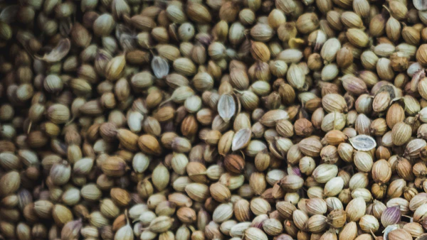 Plant Trait Technology | News - ZeaKal