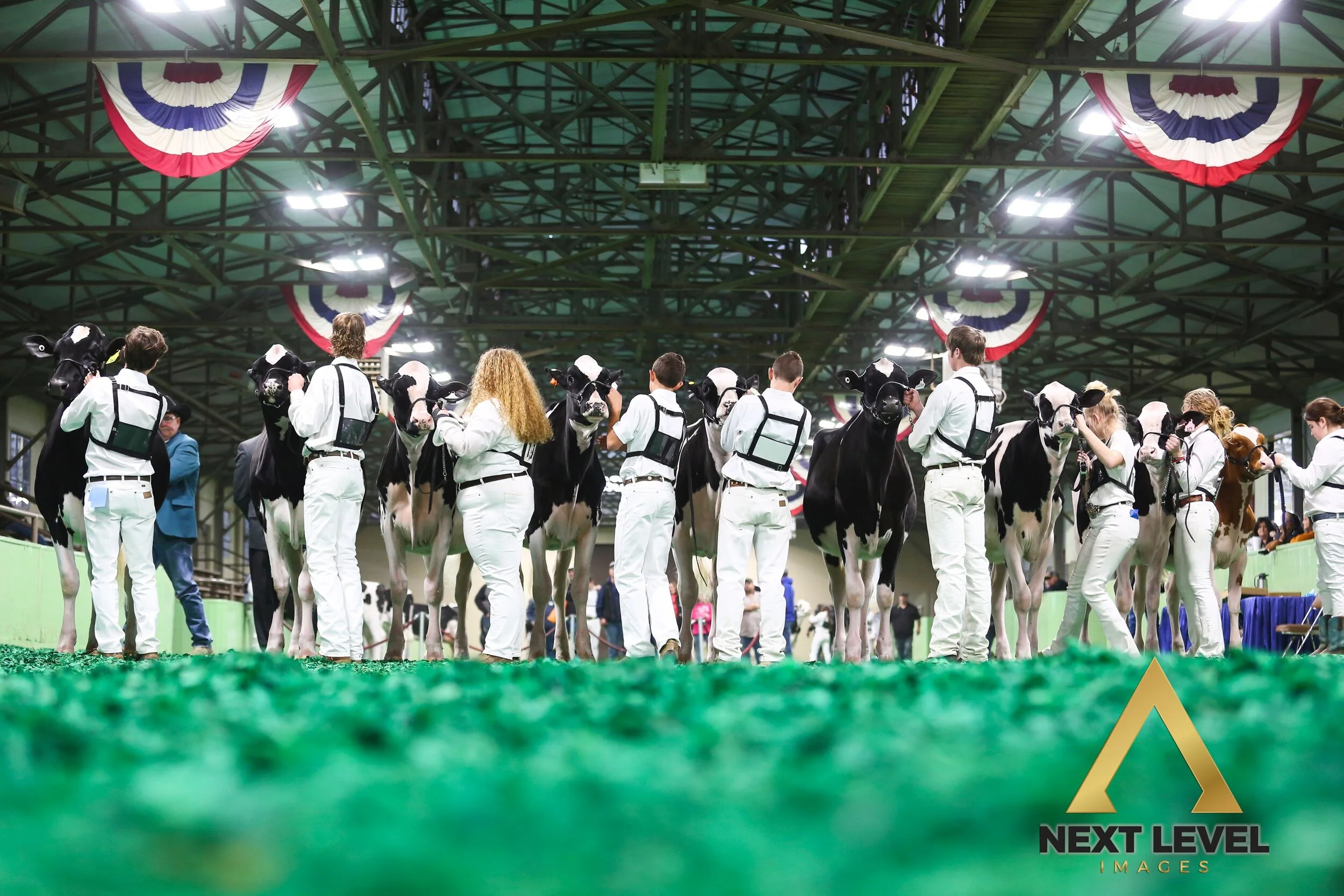 Show Photos — Next Level Images