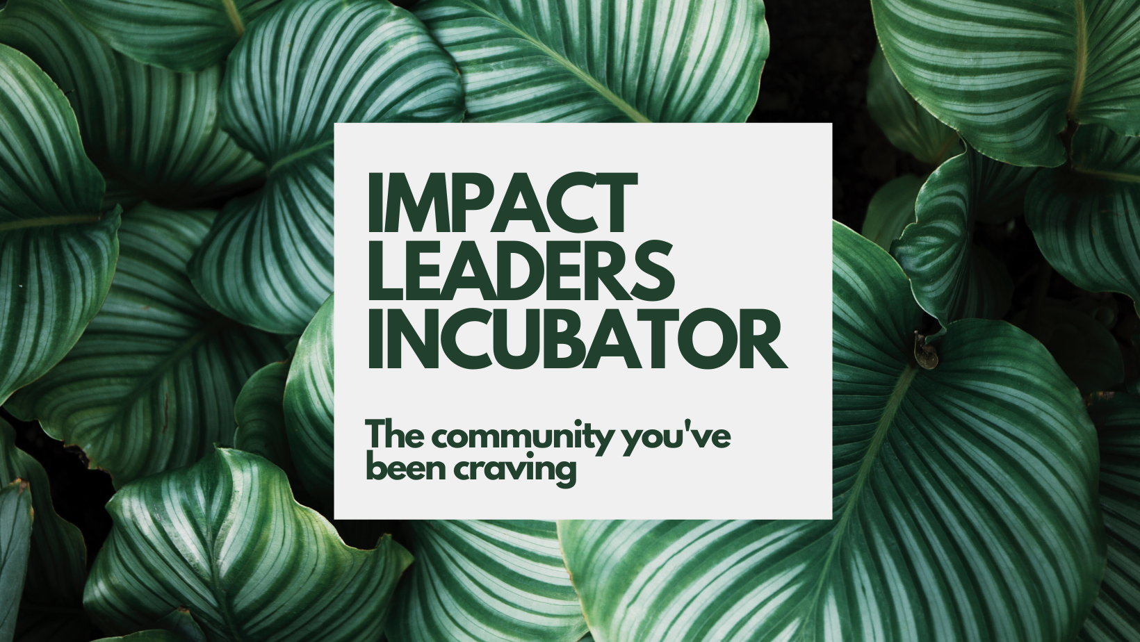 A leadership program and community for women in social impact ...