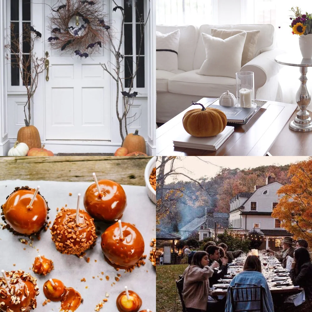 Tuckamore: The Story Behind Our Name and Vision for our Homestead ...