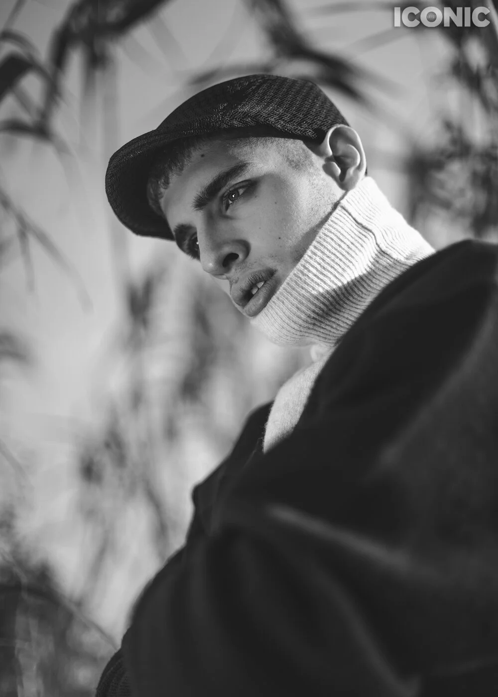 Ivana Tomic — Iconic Artist