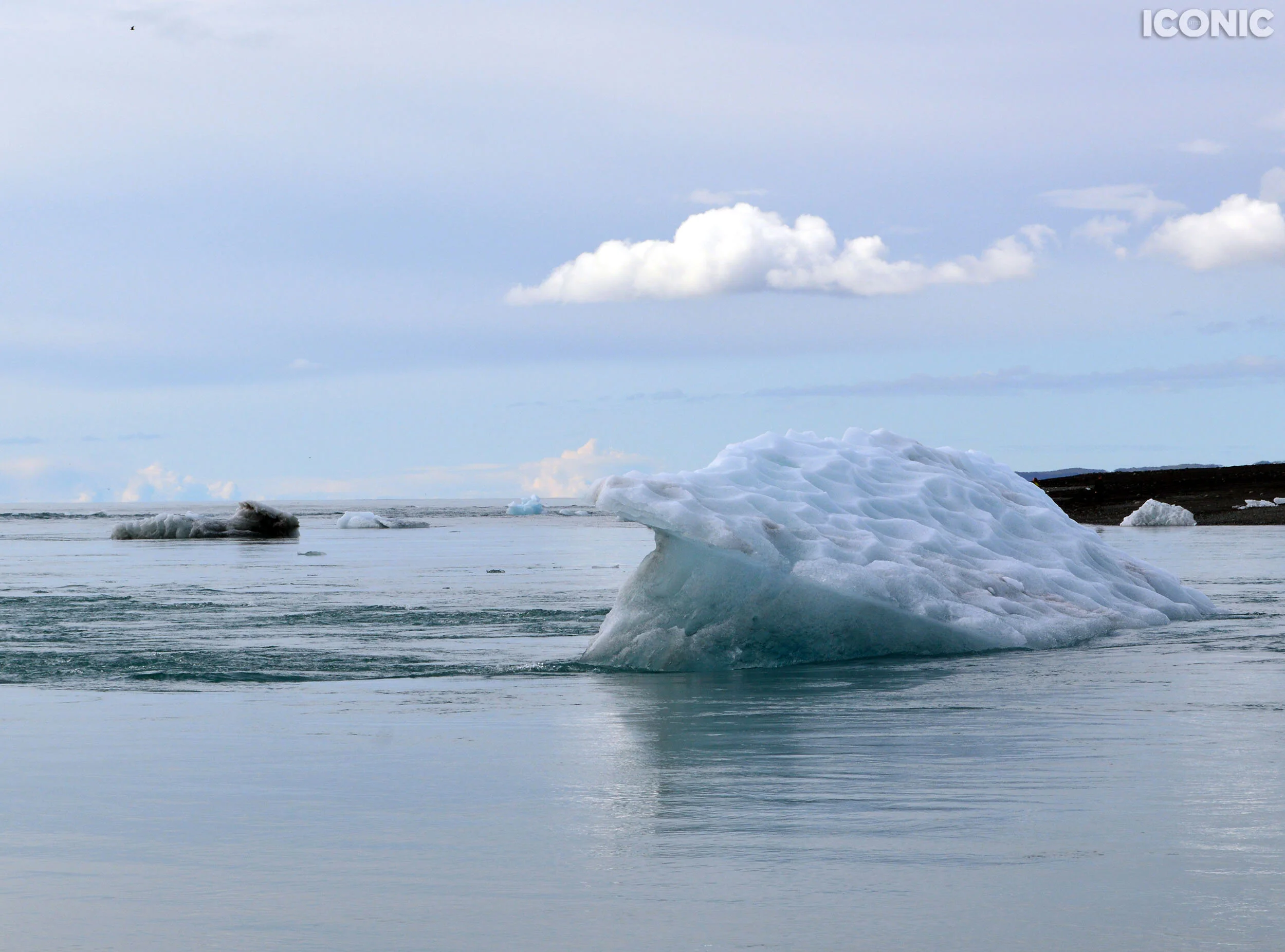 Francesca Ferrari — Iconic Artist