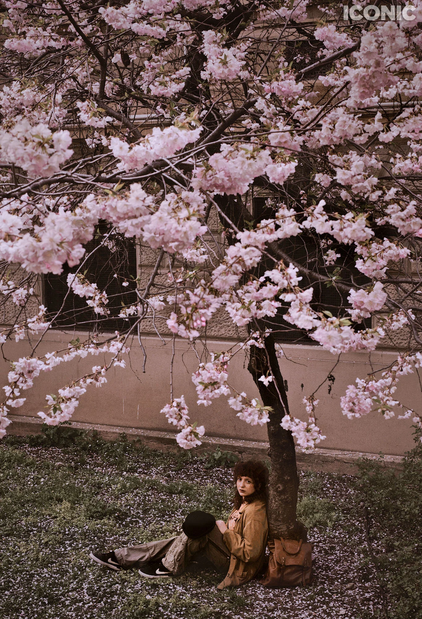 Marika Grimaldi — Iconic Artist