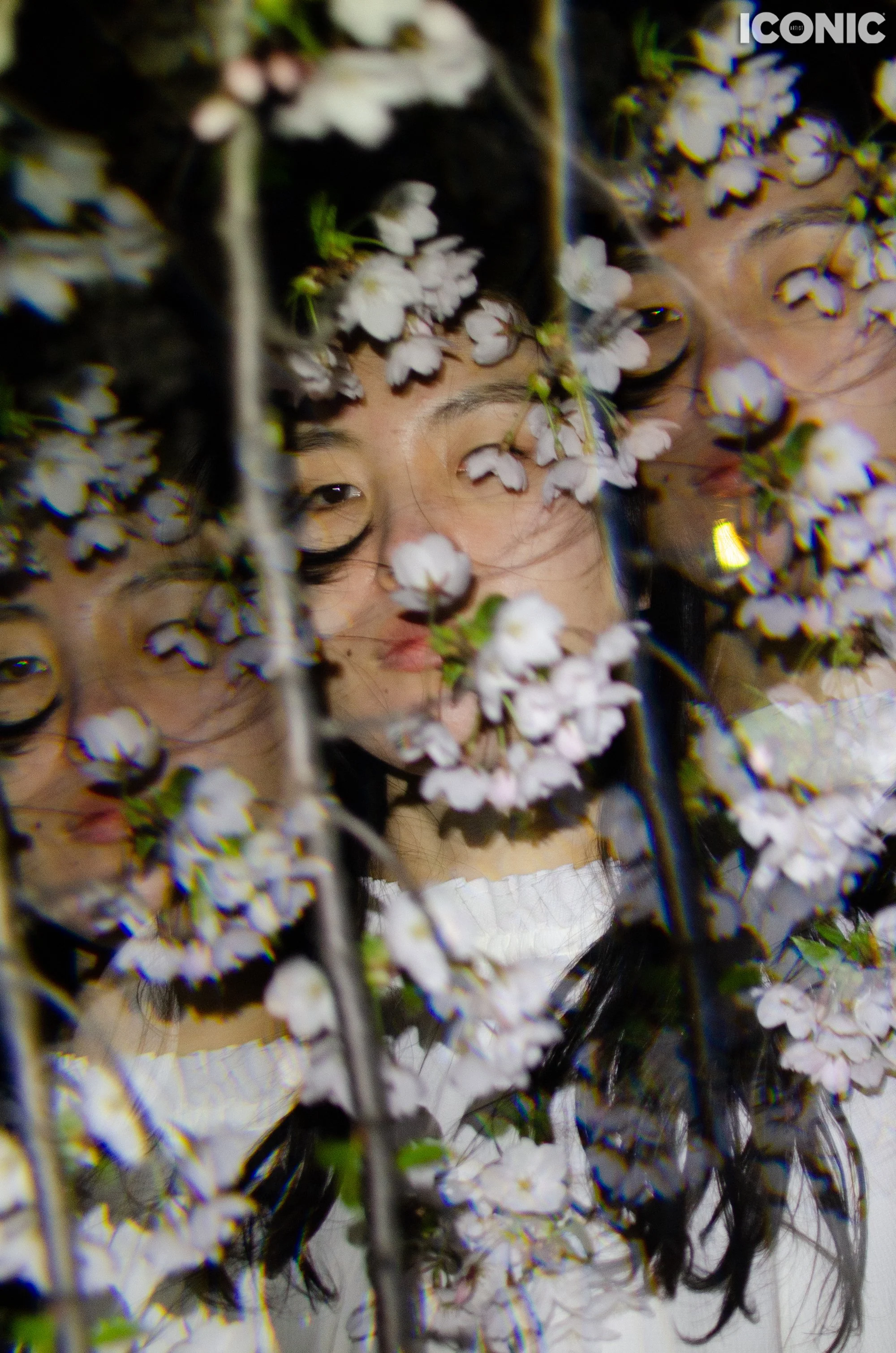 Nogi Kuchiko — Iconic Artist