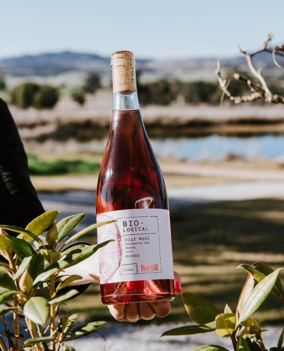 Hills Food and Wine Festival