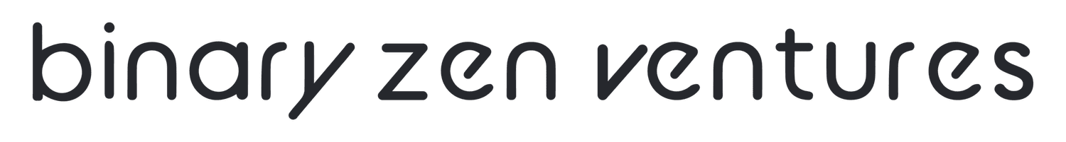 binary zen ventures