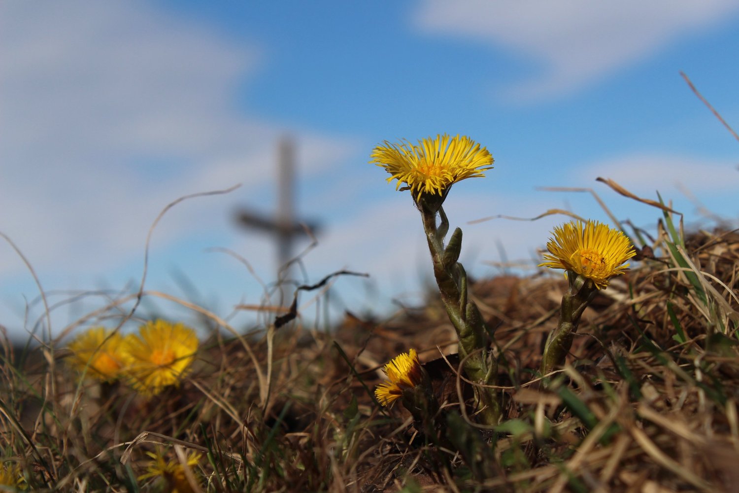 Program — Lia Gård