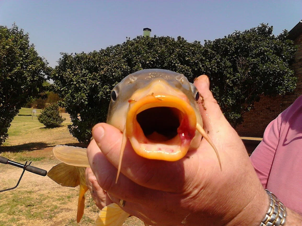 Fishing — Club Amigos