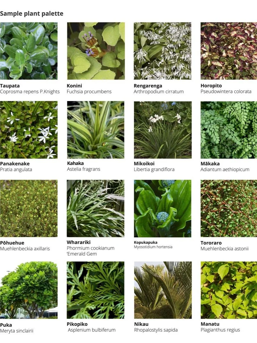 Milford Villas - Auckland — Ben Hawkey