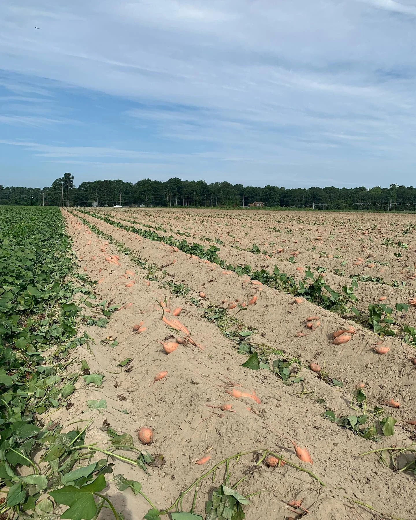 Our Team — The Family Behind The Farm — Barnes Farming & Farm Pak