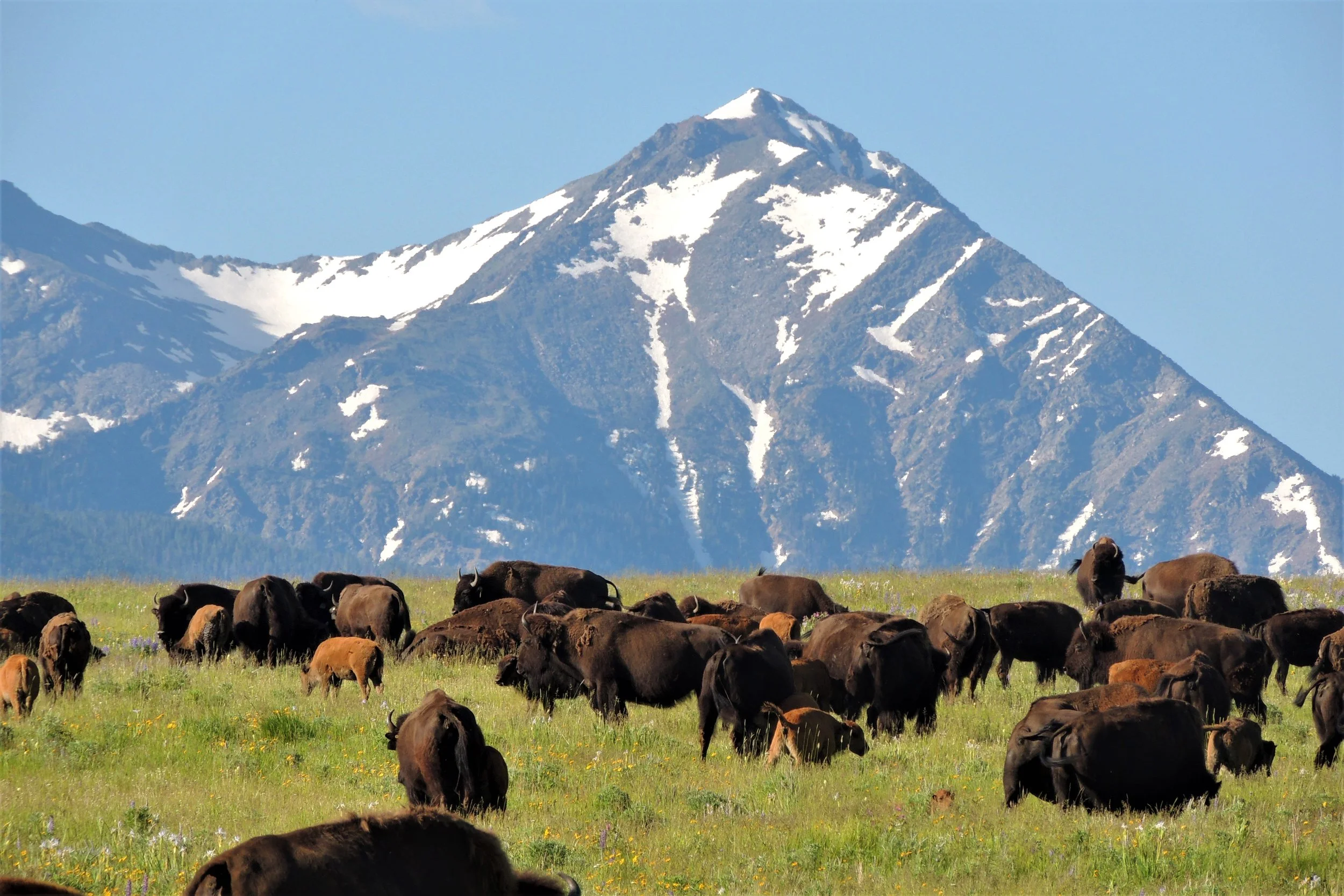 Gallery — Turner Ranch Outfitting