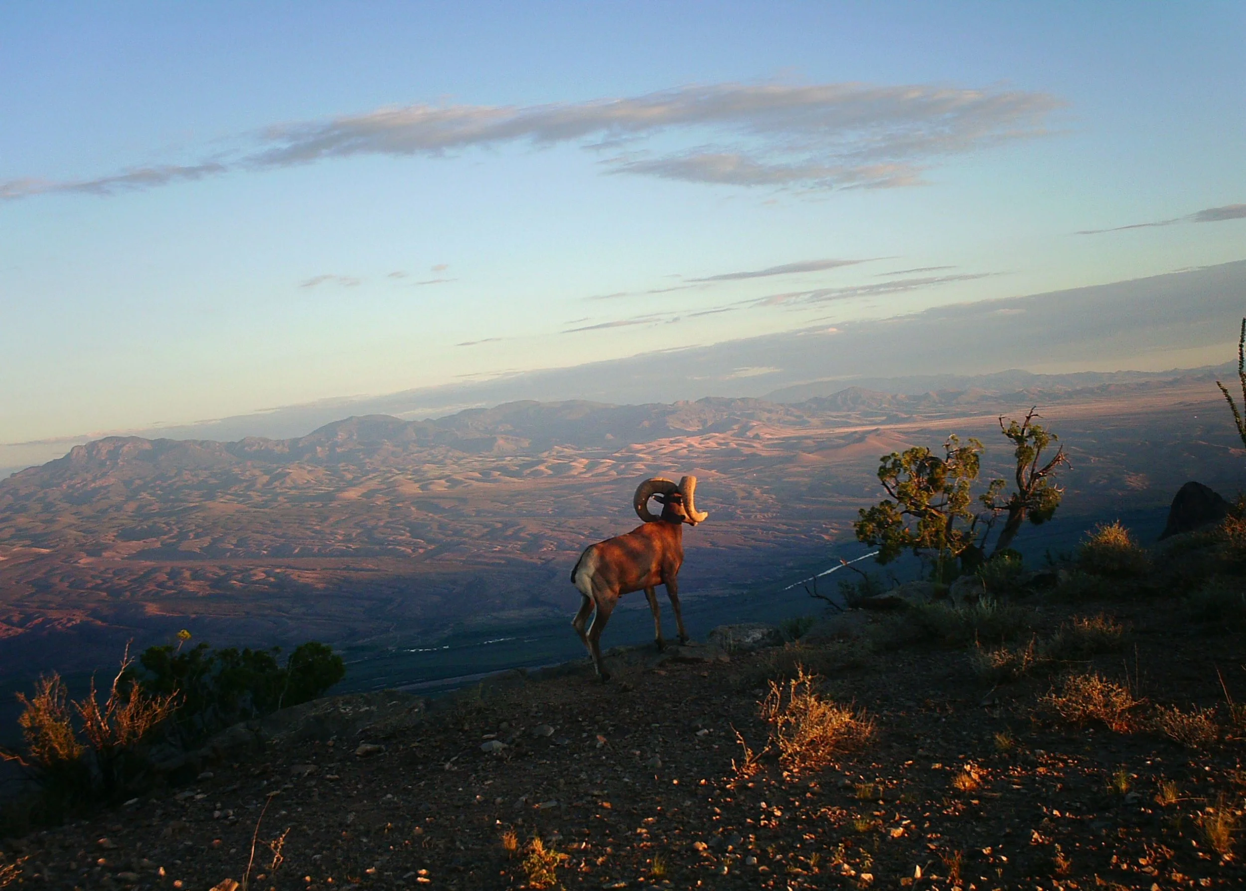 Gallery — Turner Ranch Outfitting
