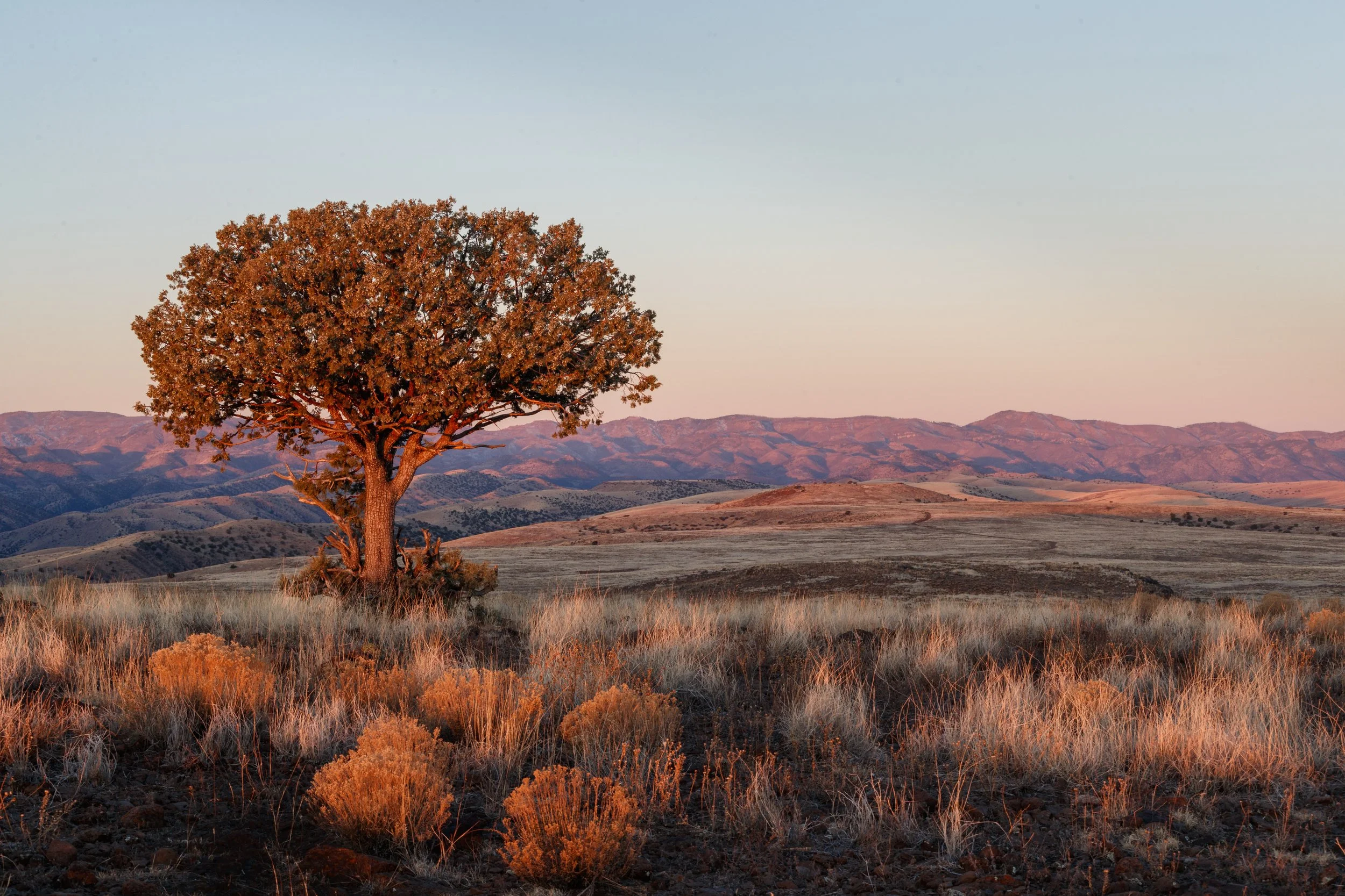 Gallery — Turner Ranch Outfitting