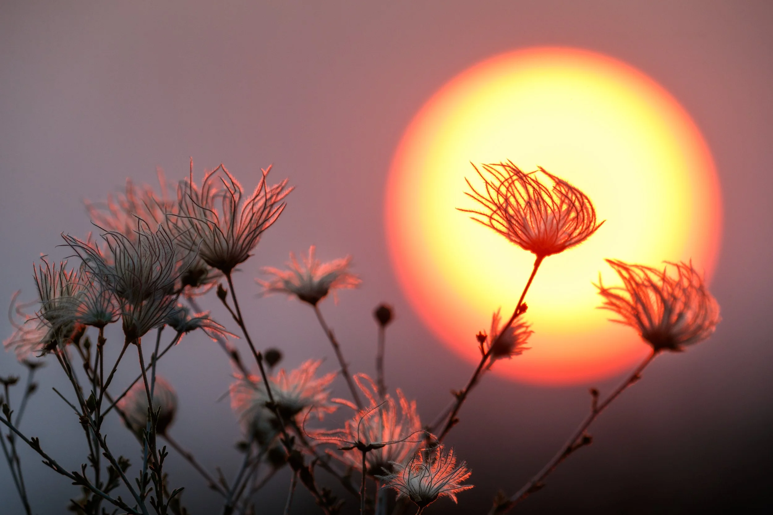 Gallery — Turner Ranch Outfitting