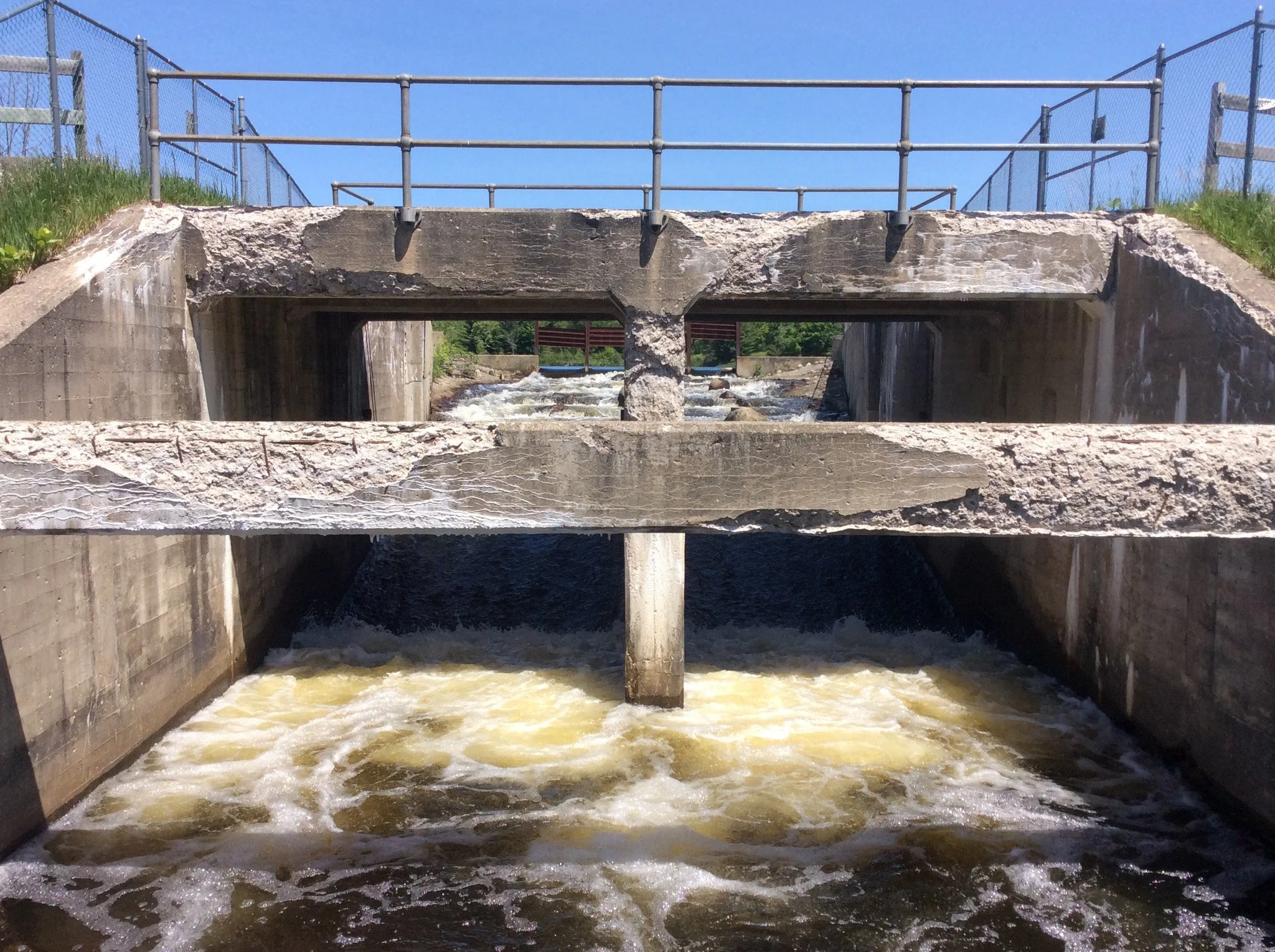 Lake Kathleen Dam Removal — Spicer Group