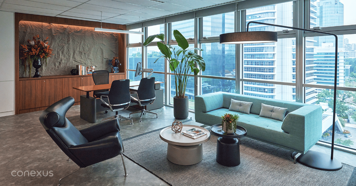 5 Ways to Enhance Your Office Space with Plants | ⚫⚪ Conexus Studio