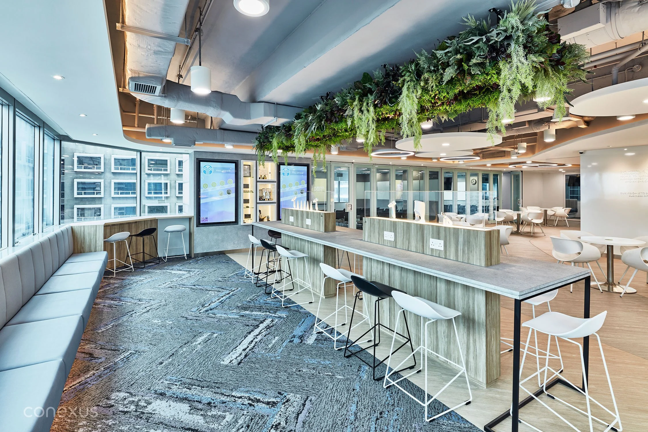 5 Ways to Enhance Your Office Space with Plants | ⚫⚪ Conexus Studio