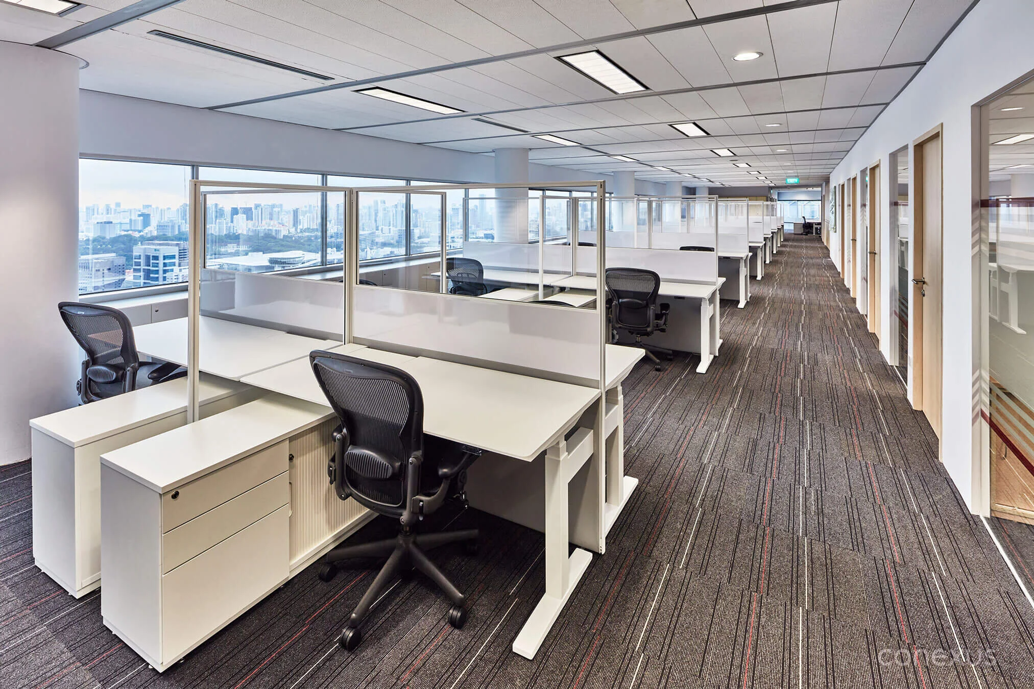 Future Forward: a COVID-safe Office Renovation | ⚫⚪ Conexus Studio