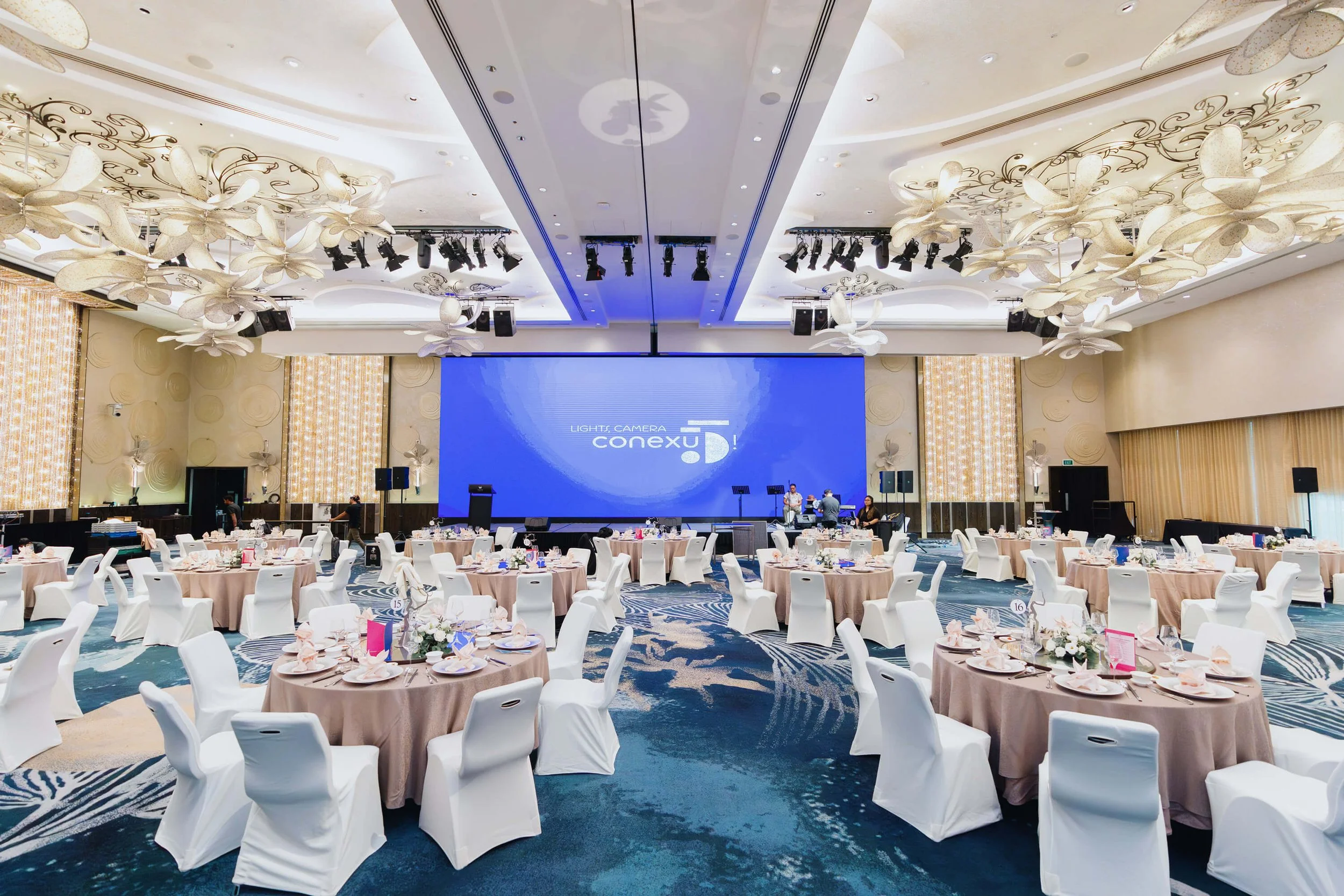 Lights, Camera, Conexu5! — ⚫⚪ Conexus Studio