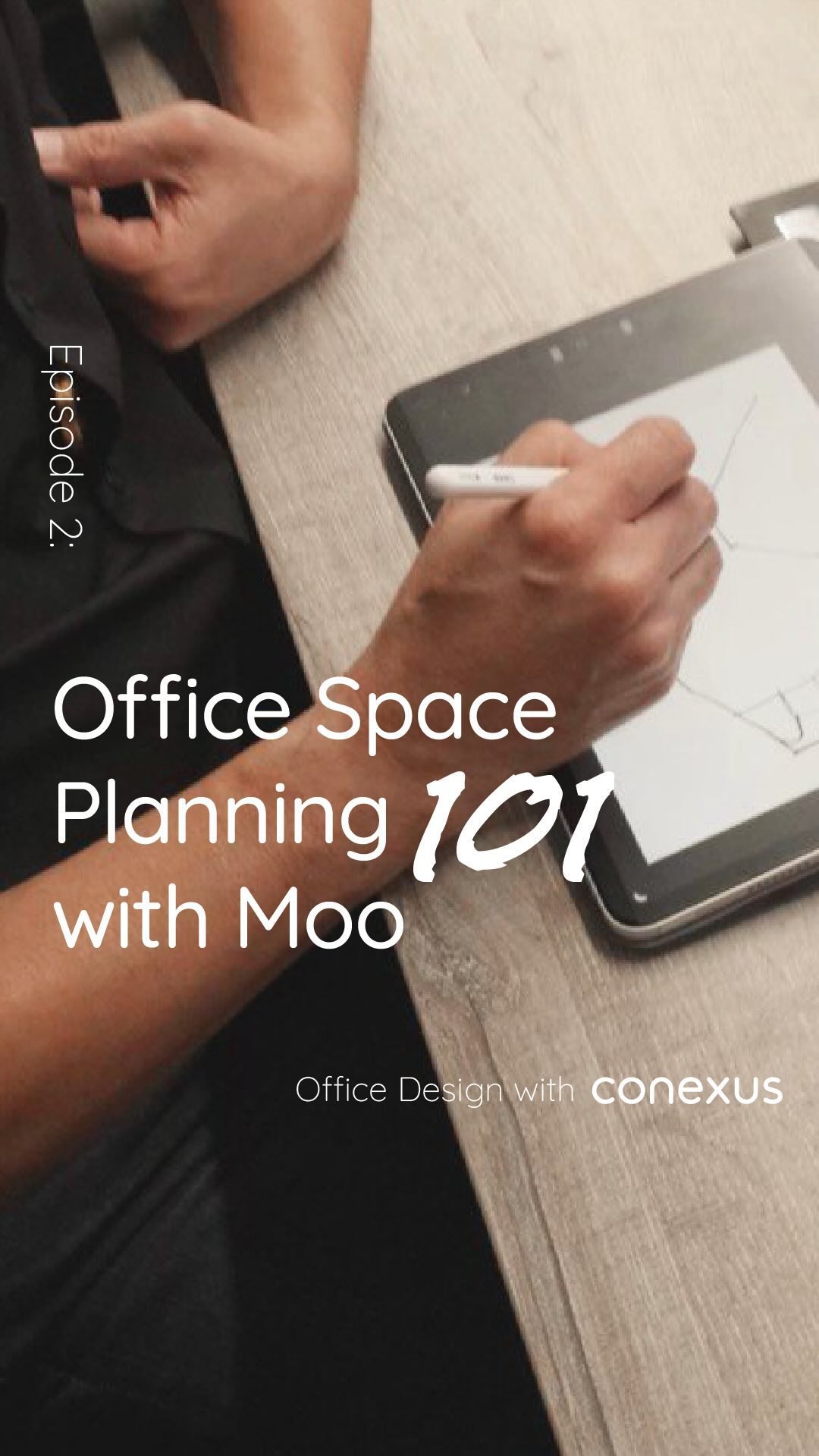 TOP International Holdings | Office Design & Build | ⚫⚪ Conexus Studio