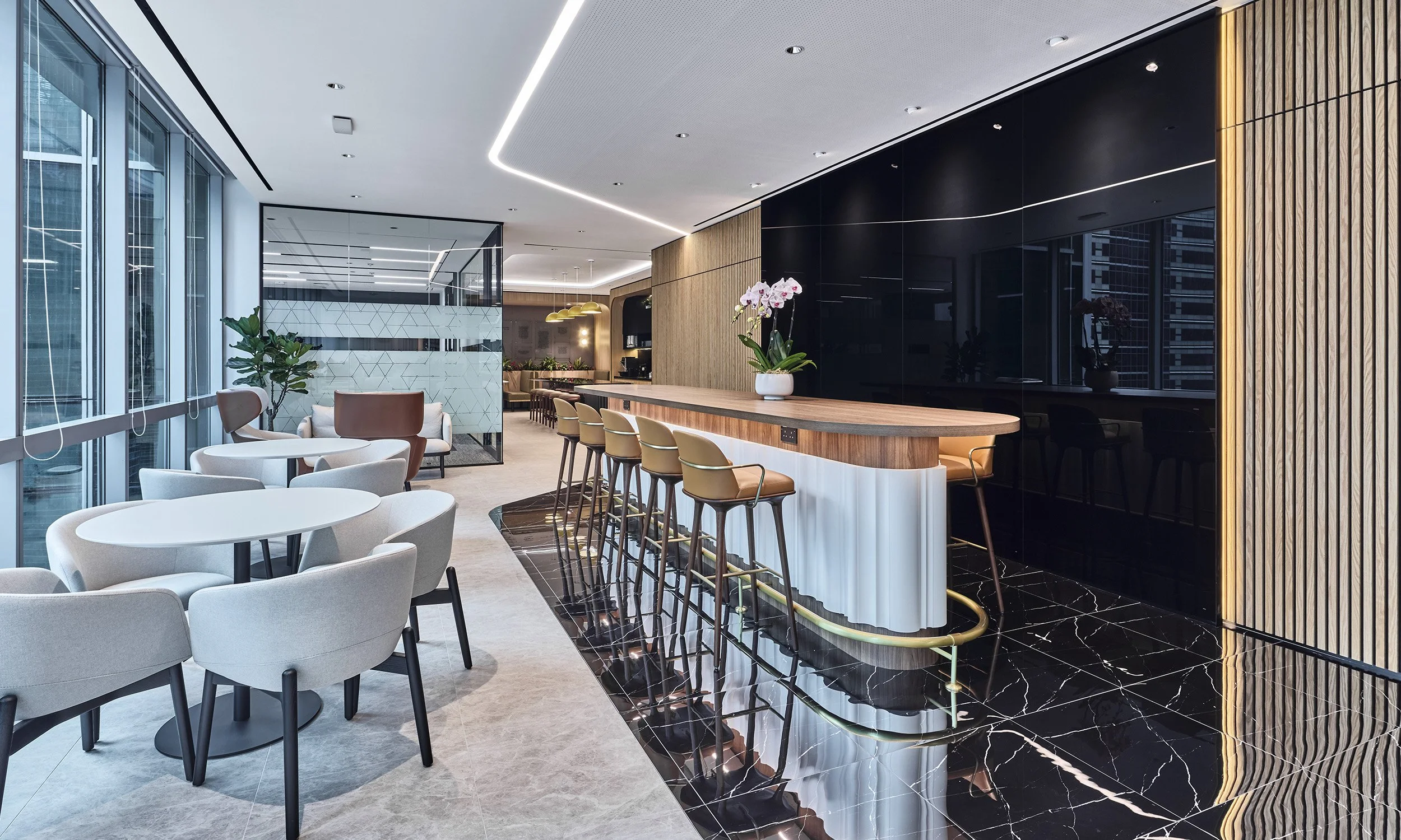 Gallup | Office Design & Build | ⚫⚪ Conexus Studio