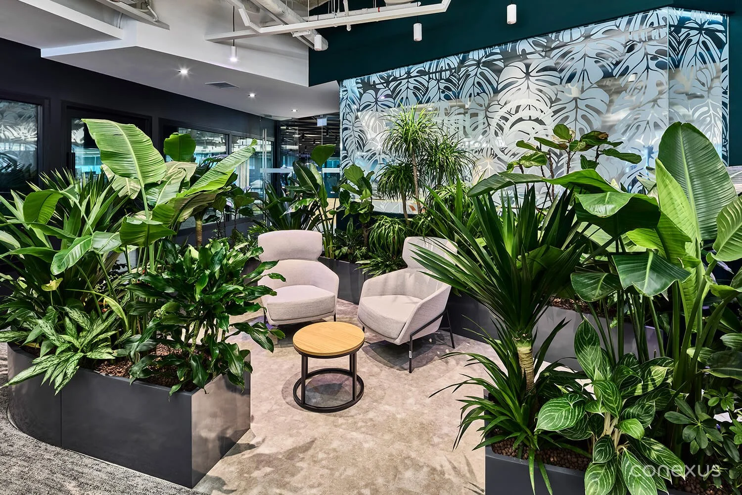 7 Types of Creative Breakout Spaces | Conexus Studio