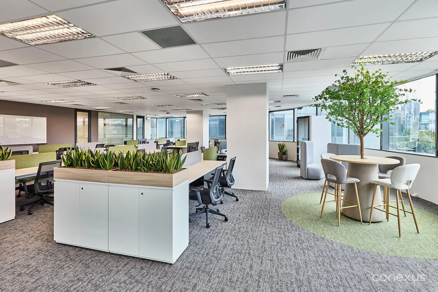 SUPCON | Office Design & Build | ⚫⚪ Conexus Studio