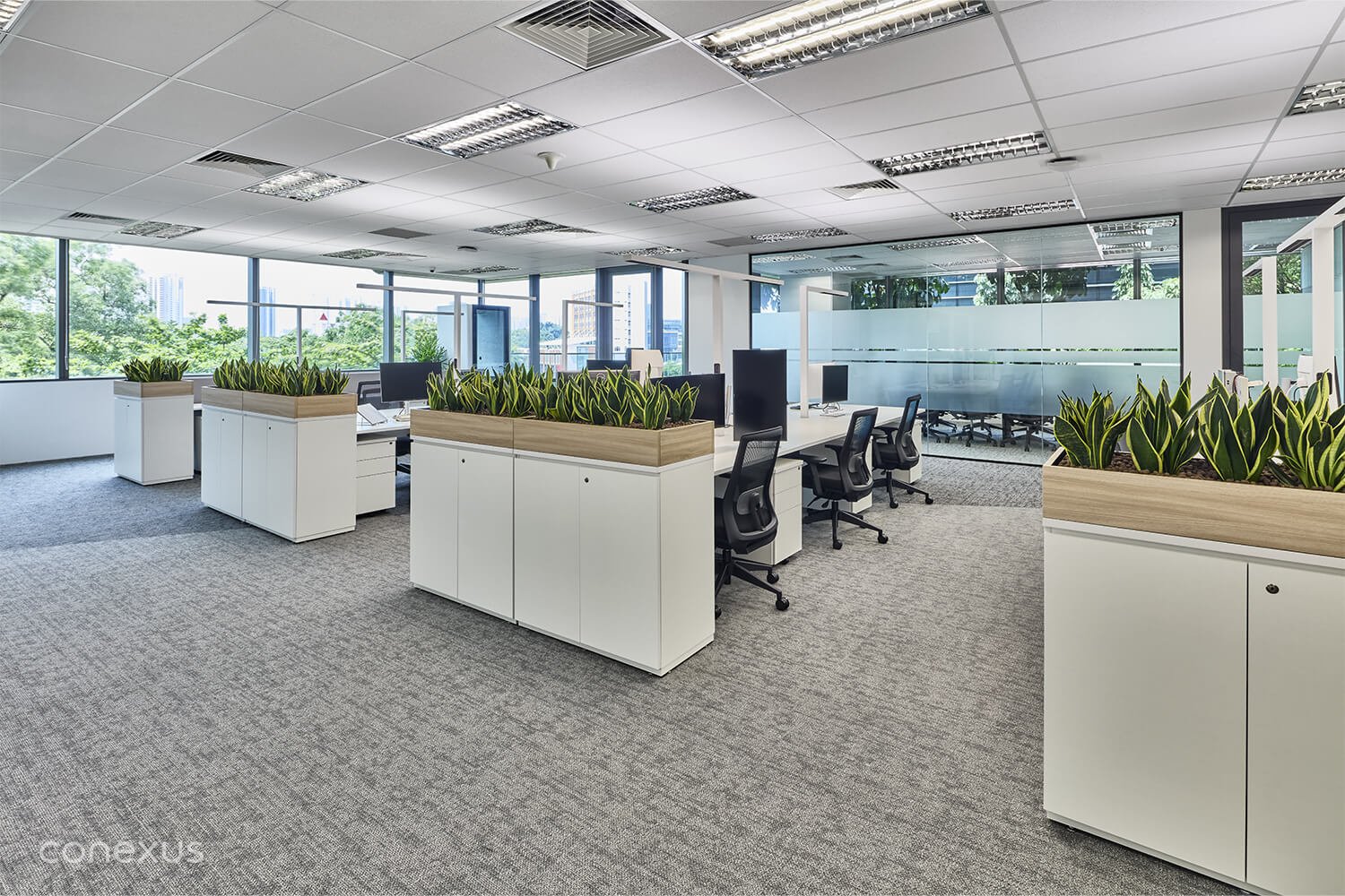 SUPCON | Office Design & Build | ⚫⚪ Conexus Studio