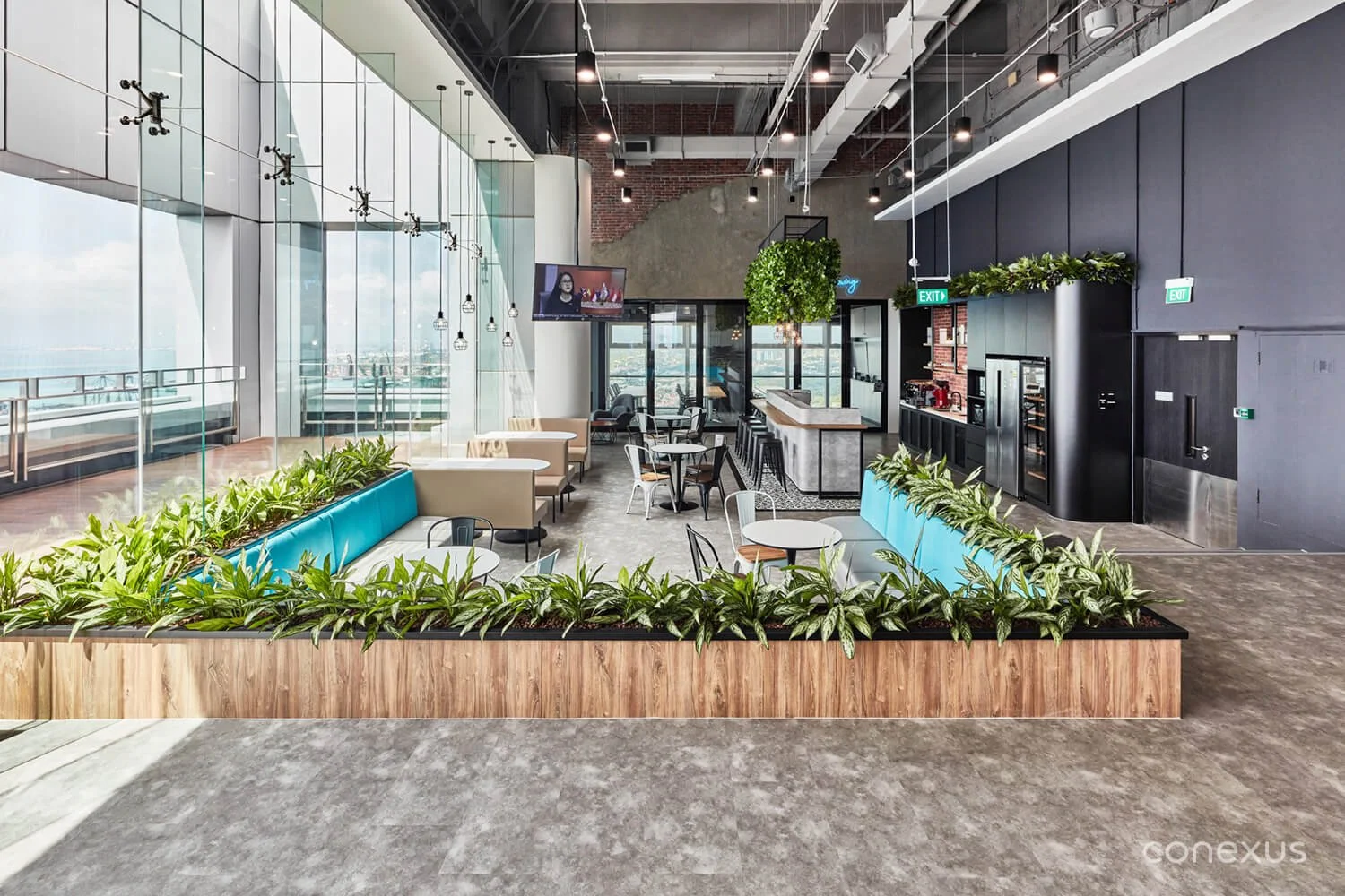 Strategic Office Space Planning | ⚫⚪ Conexus Studio